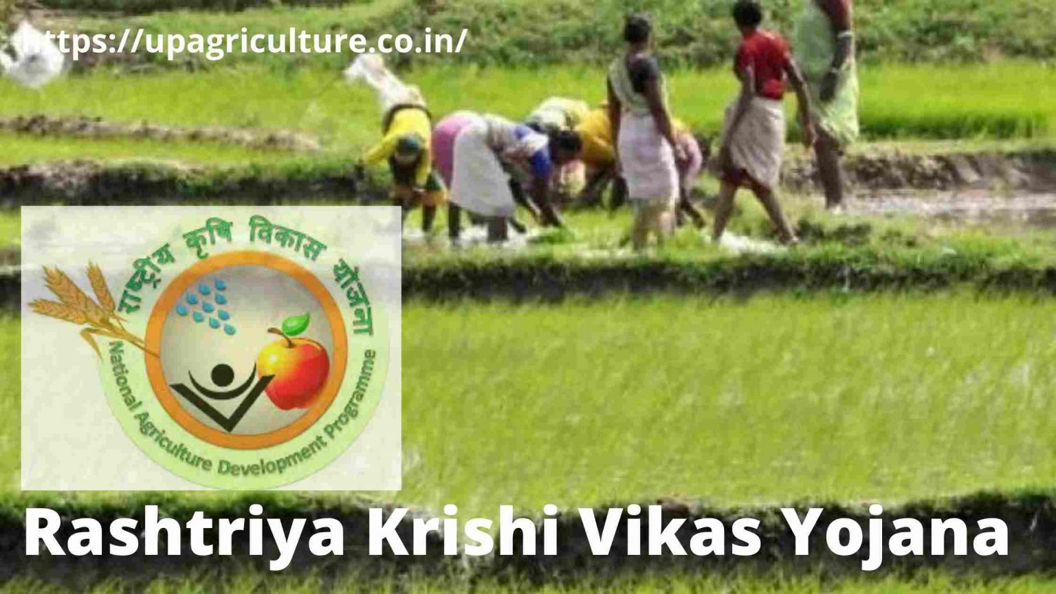 राष्ट्रीय कृषि विकास योजना | Rashtriya Krishi Vikas Yojana 2021 Ke Uddeshya