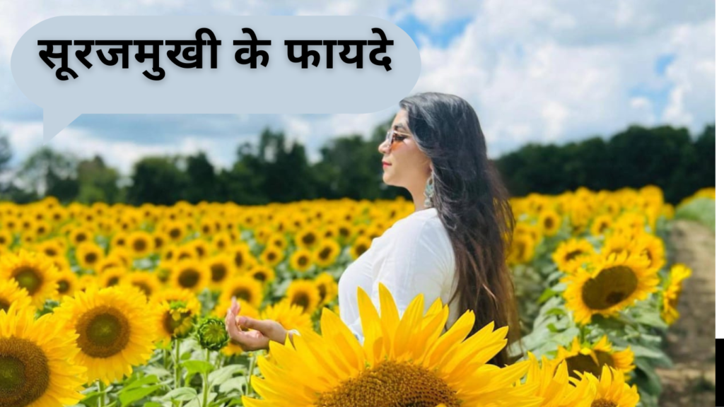 Surajmukhi Ki Kheti / सूरजमुखी की खेती से करे बंपर कमाई