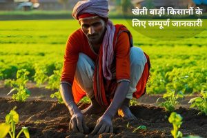 Kheti Badi- खेती बाड़ी किसानों के लिए सम्पूर्ण जानकारी